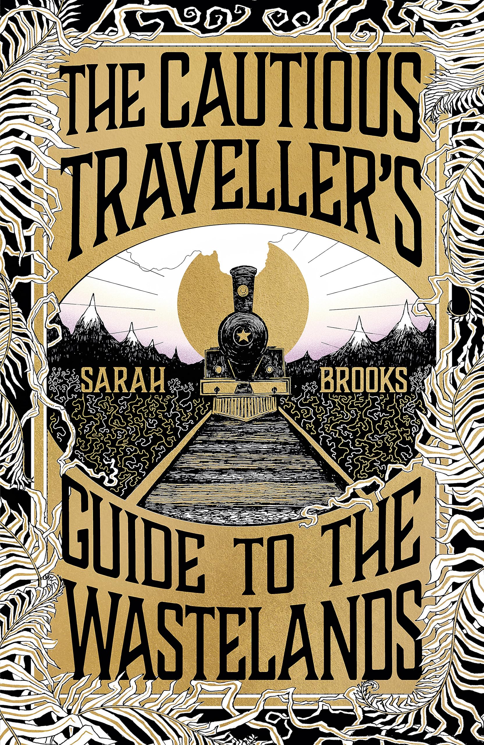 « The Cautious Traveller’s Guide to the Wastelands », de Sarah Brooks ...